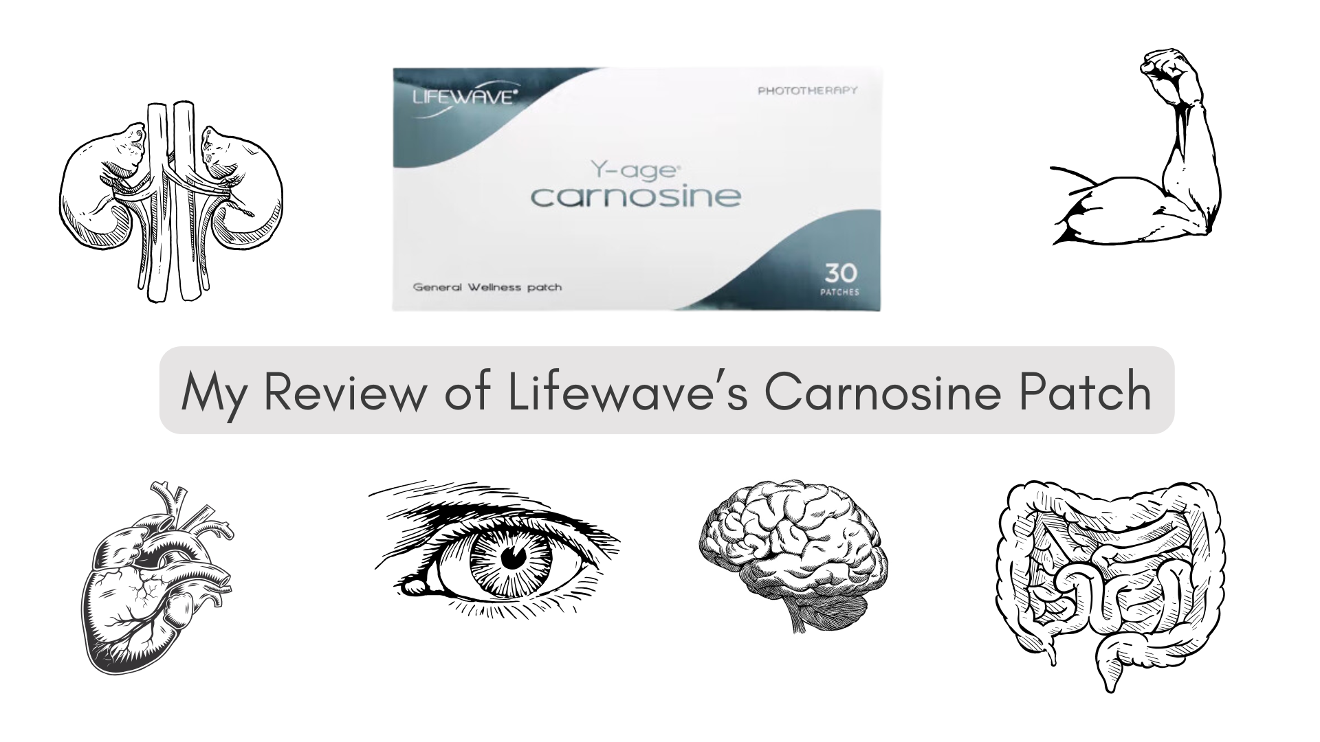 My Review of the Lifewave Carnosine Patch — That Holistic Gal