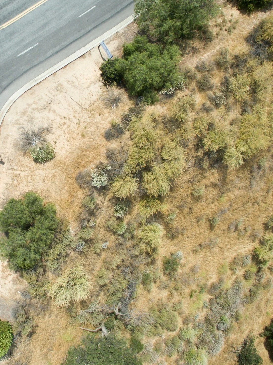 Los Angeles County Land Bank Pilot Program