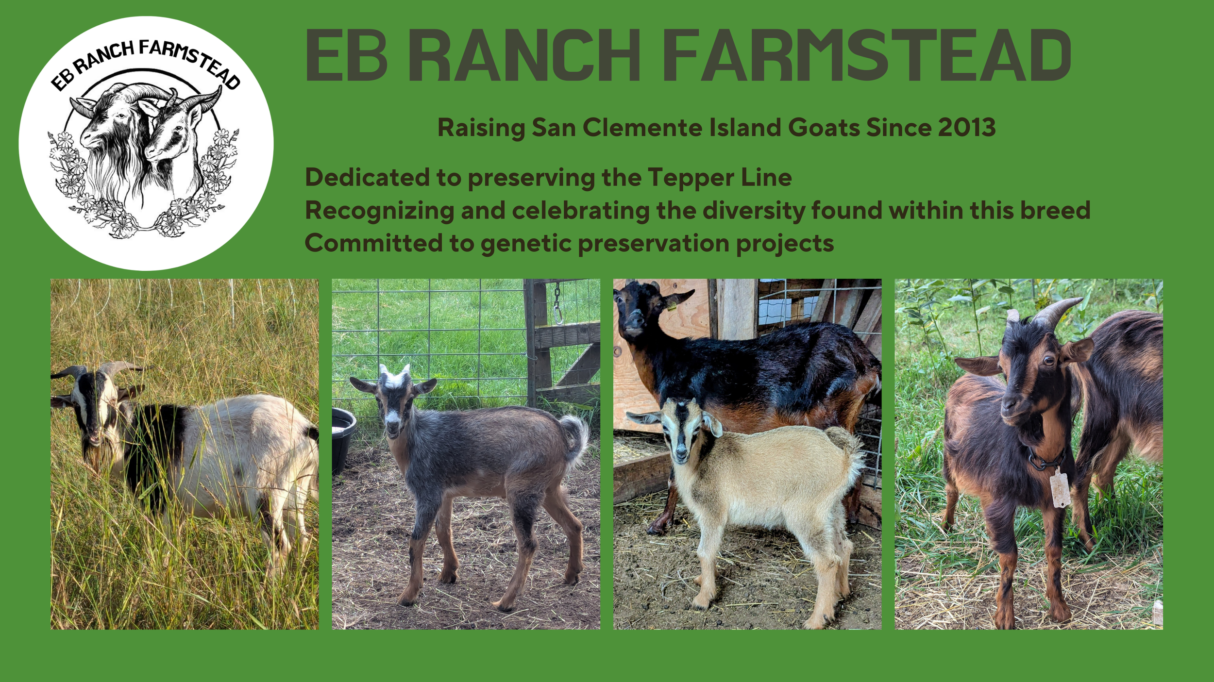 EB Ranch Farmstead
