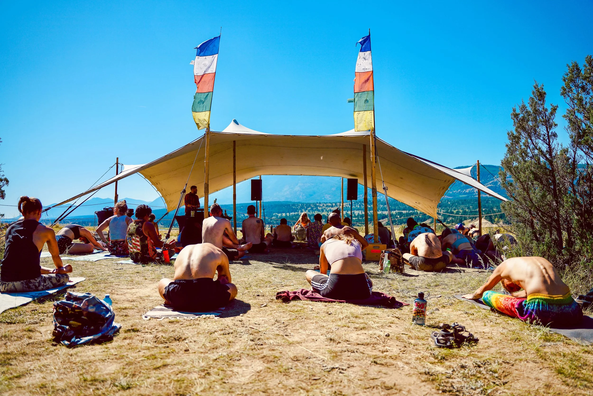 Creative Applications — Wicked Woods