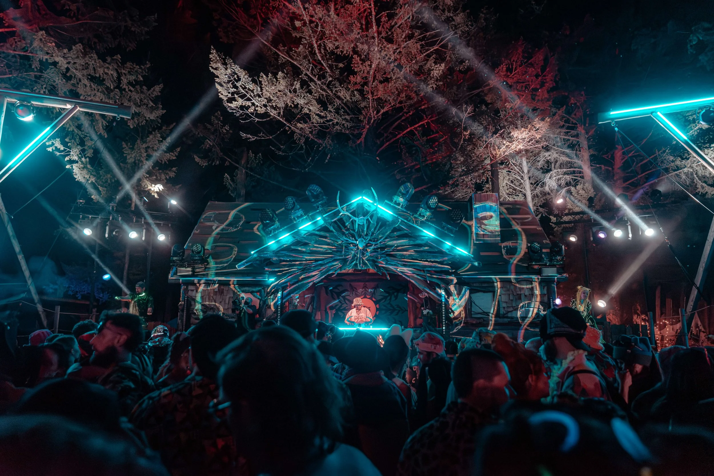 Wicked Woods