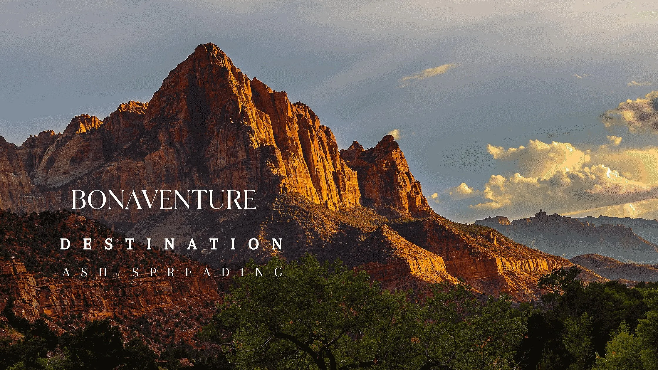 A Complete Guide to Scattering Ashes in the Ocean — Bonaventure