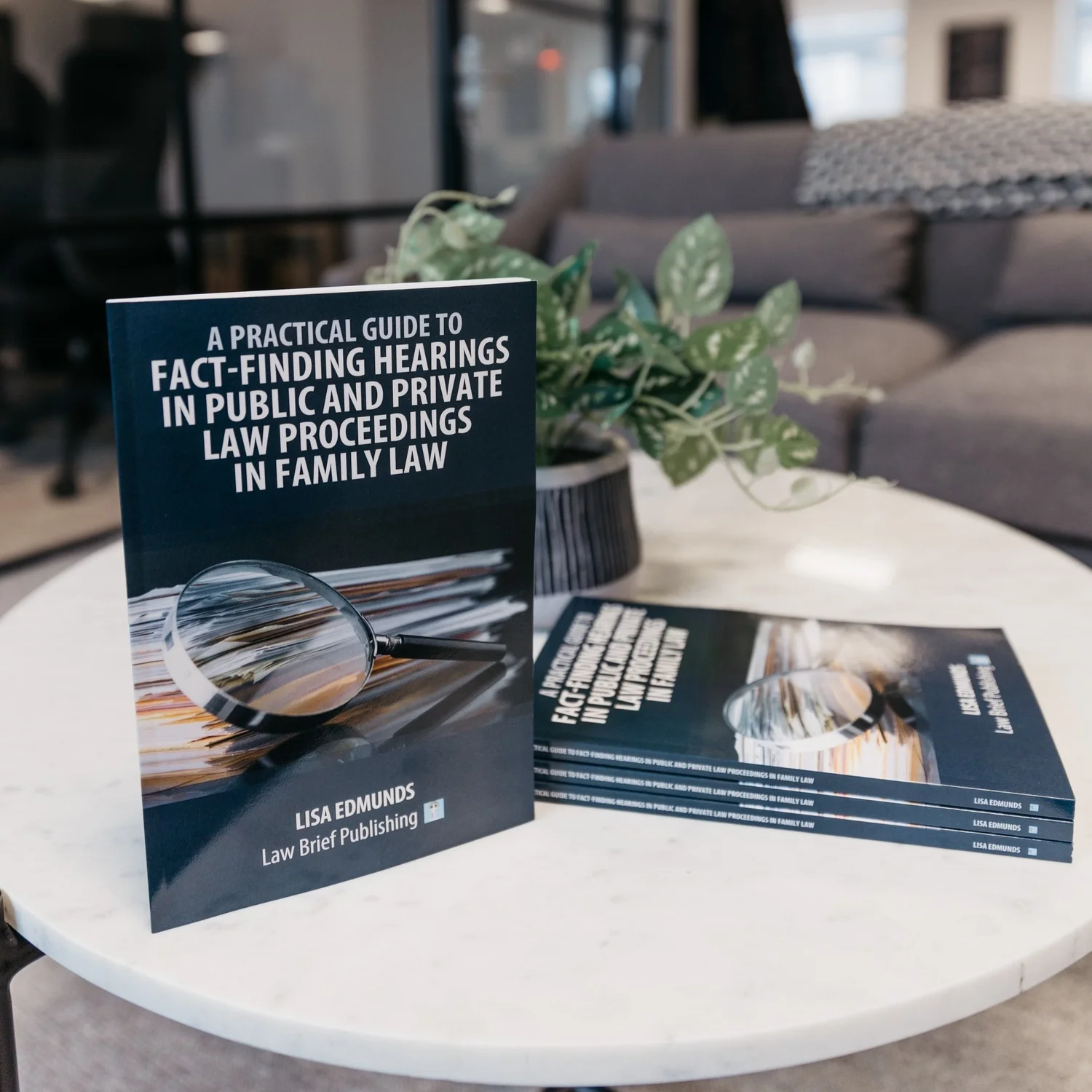 Free Chapter | A Practical Guide to Fact-Finding Hearings in Public and ...