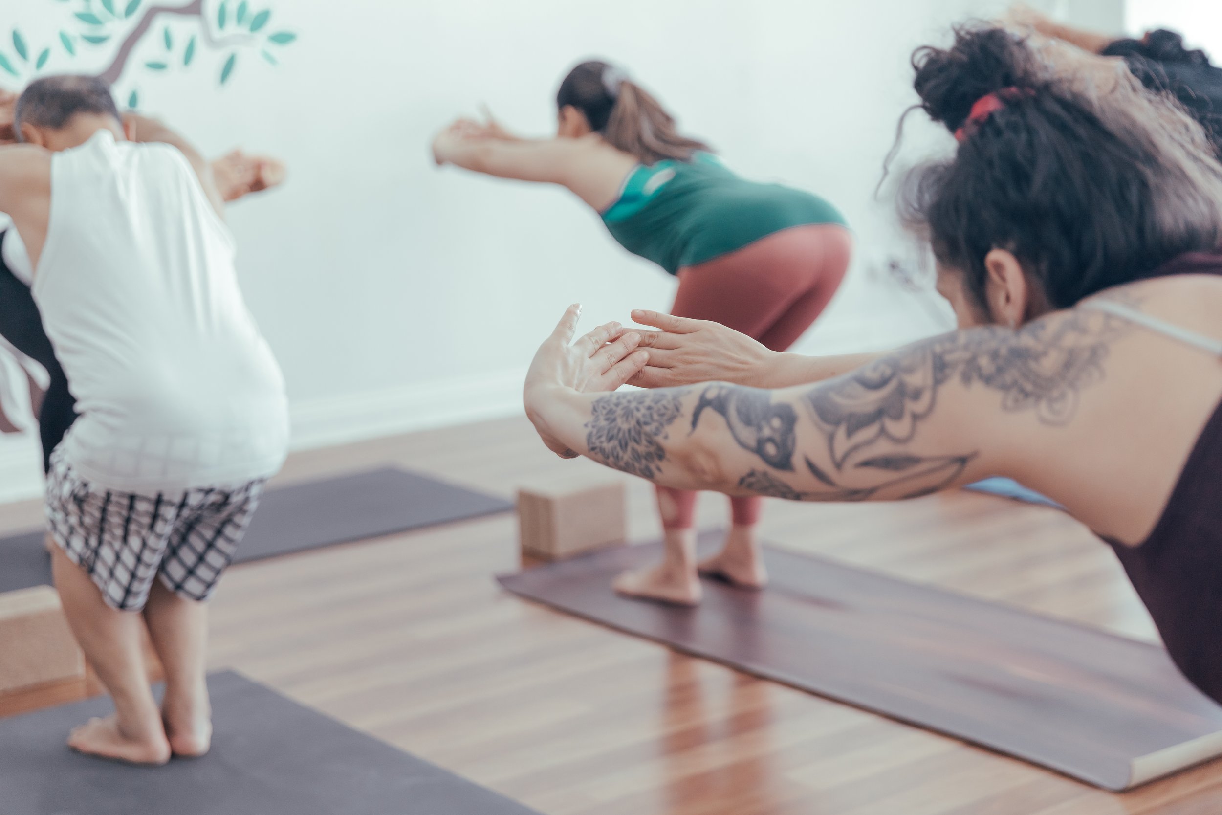 Timetable — Jeeva Yoga Studio