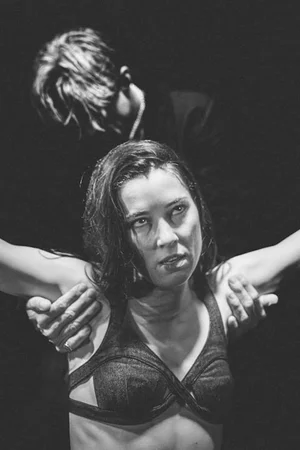 Jacaranda Baltic — Jacaranda