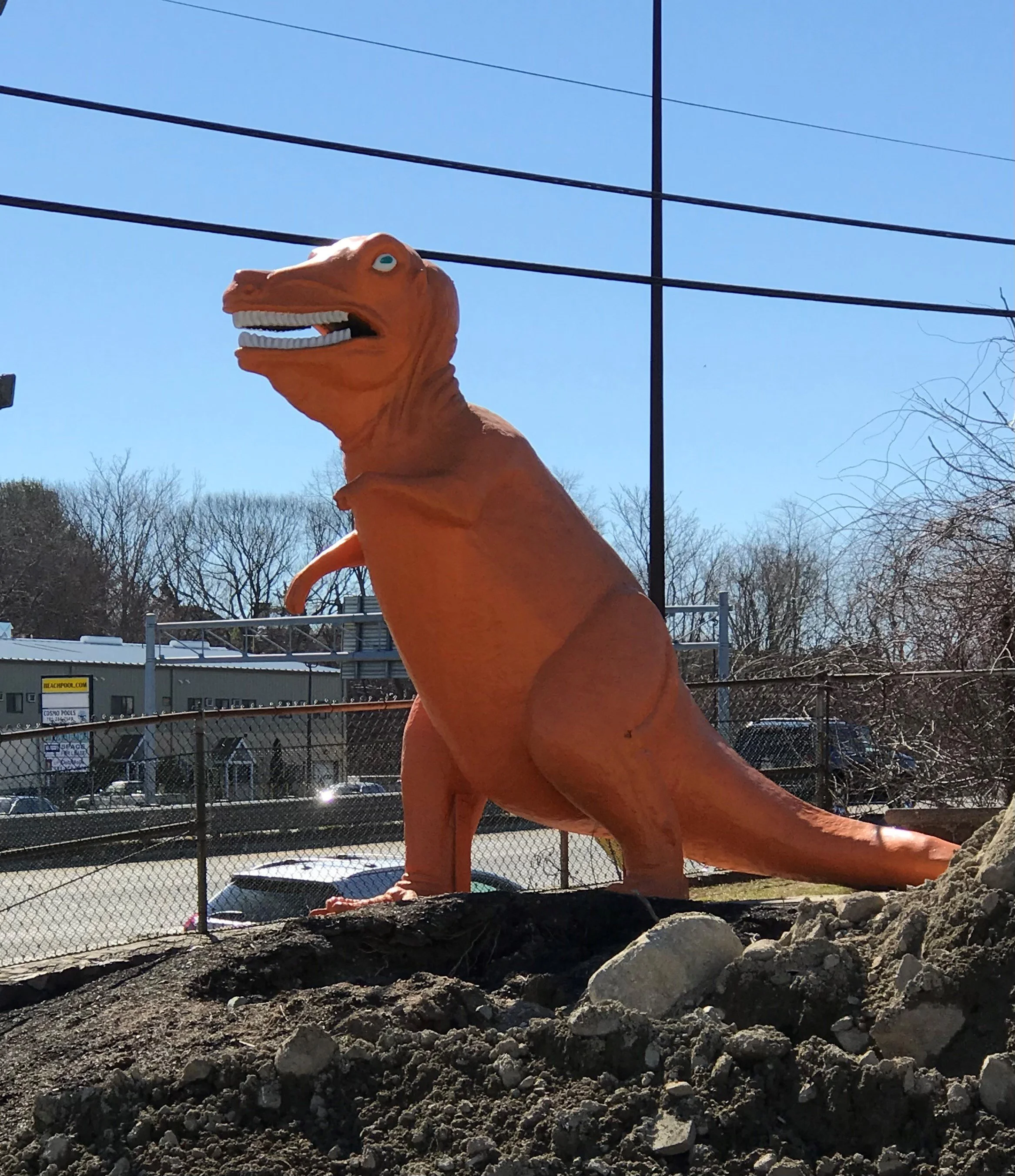 Orange Dino Saugus
