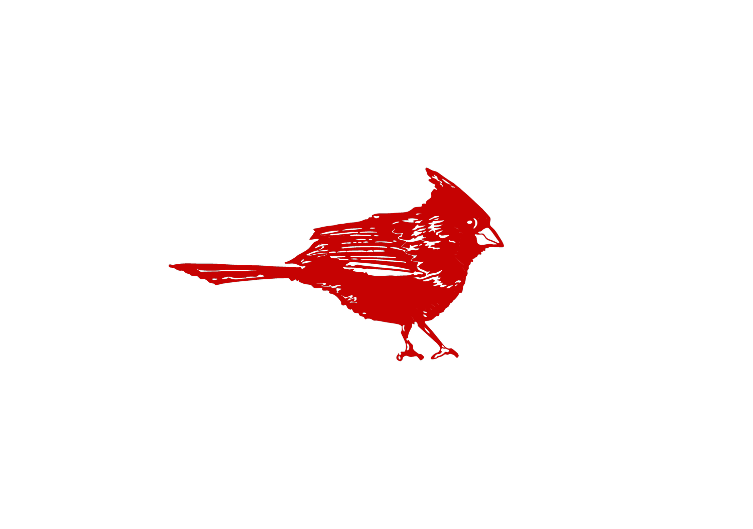 Red Bird Live Music