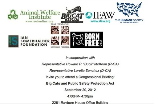 History of the Big Cat Public Safety Act | Big Cat Rescue | Wild cats ...