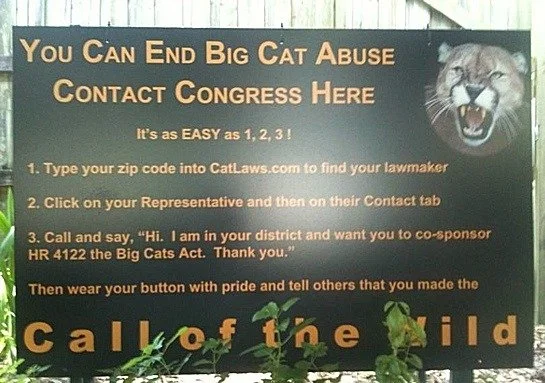 History of the Big Cat Public Safety Act | Big Cat Rescue | Wild cats ...