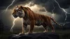 Operation Thunder 2024: A Global Victory for Wildlife, but the Fight ...