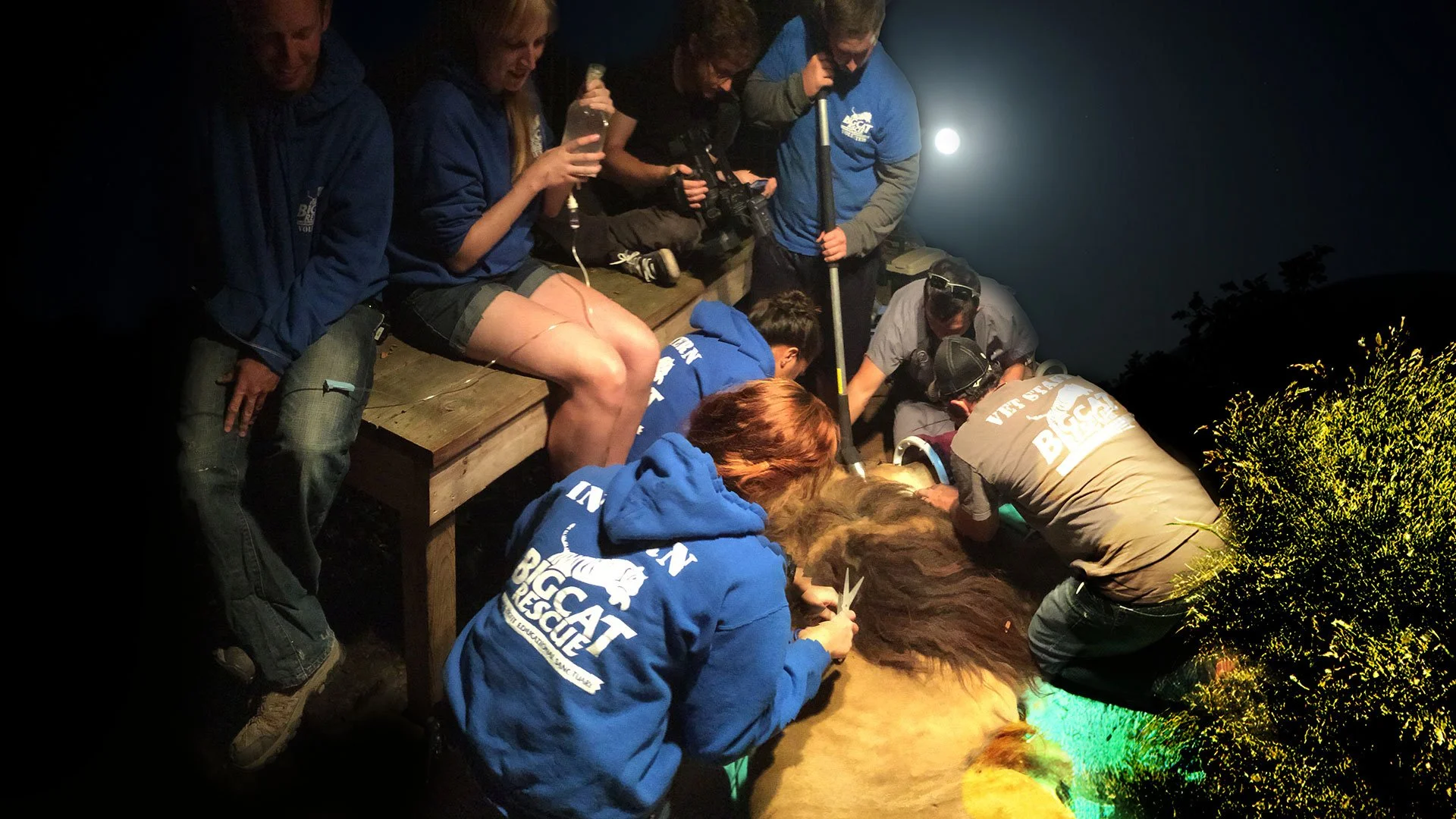 From Captivity to Conservation: The Evolution of Zoos and What It Means ...