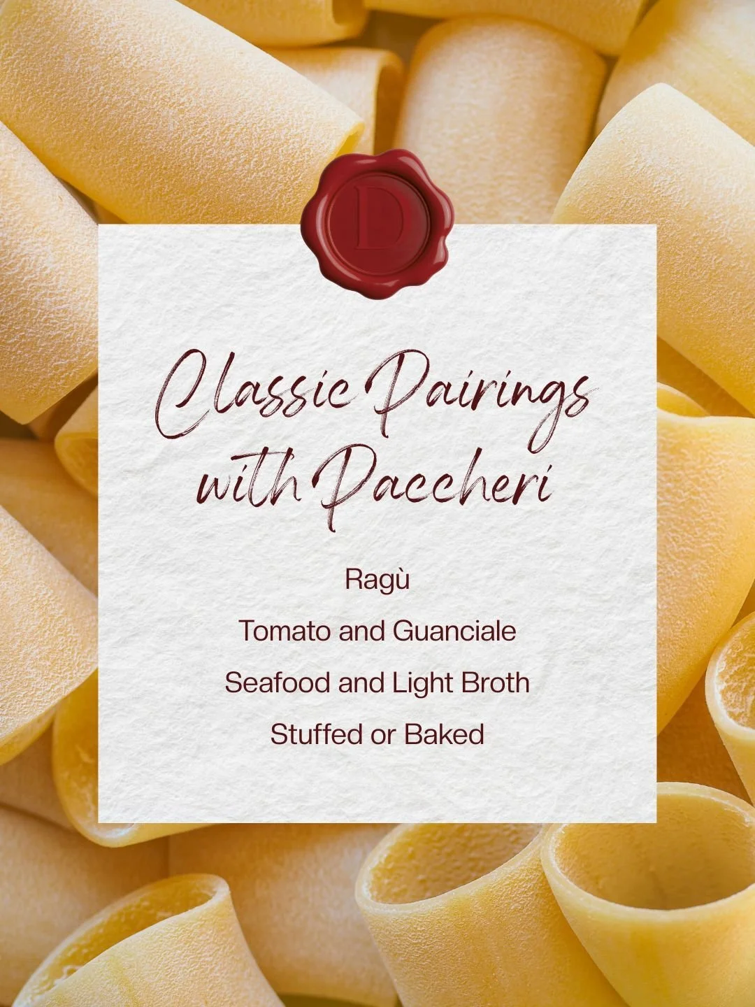 What Is Paccheri Pasta? Shape, Origins, Pairings Guide