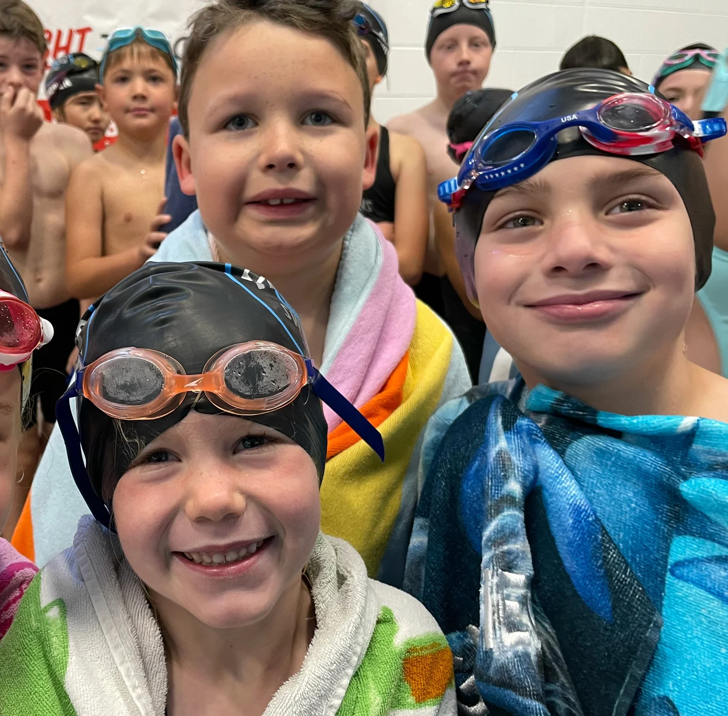 Falfins Swimming — Falfins Swimming