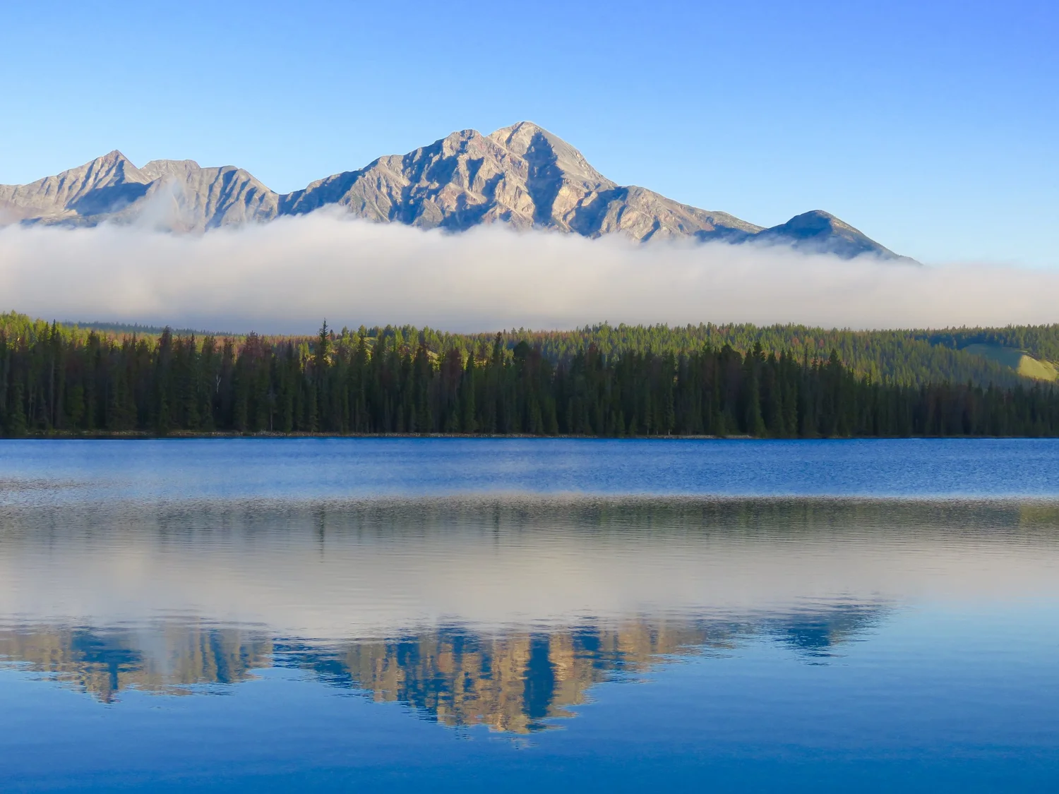 Guided Tours Jasper National Park I Metis - Owned