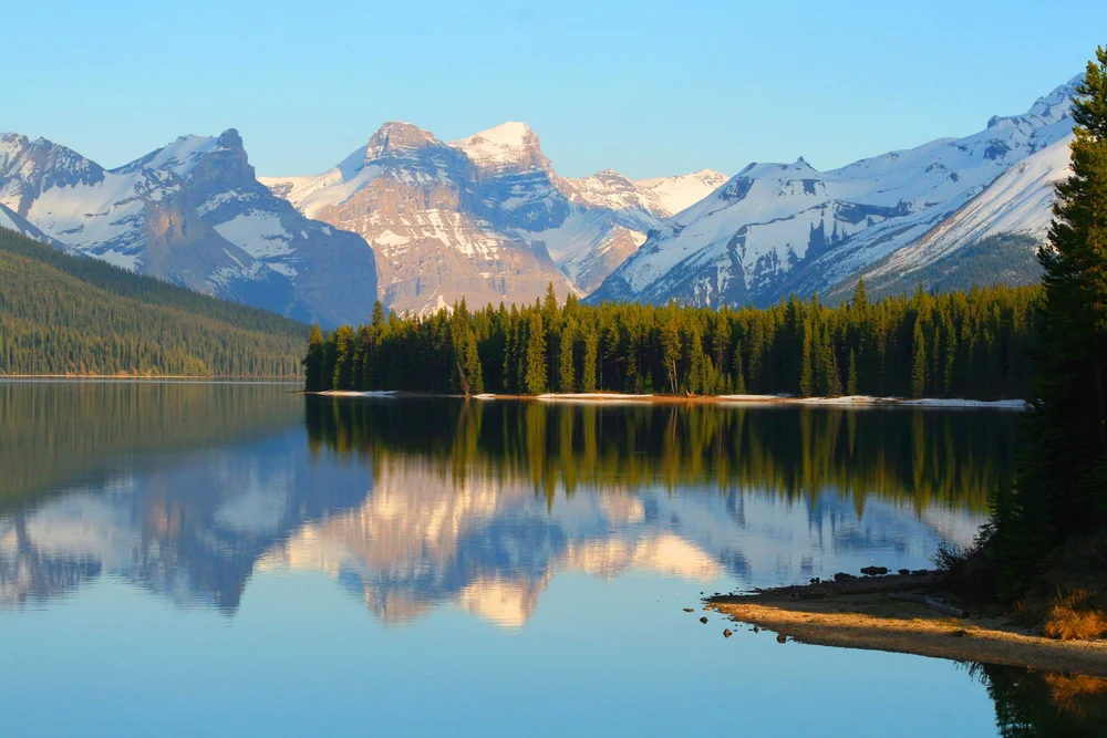 Guided Tours Jasper National Park I Metis - Owned