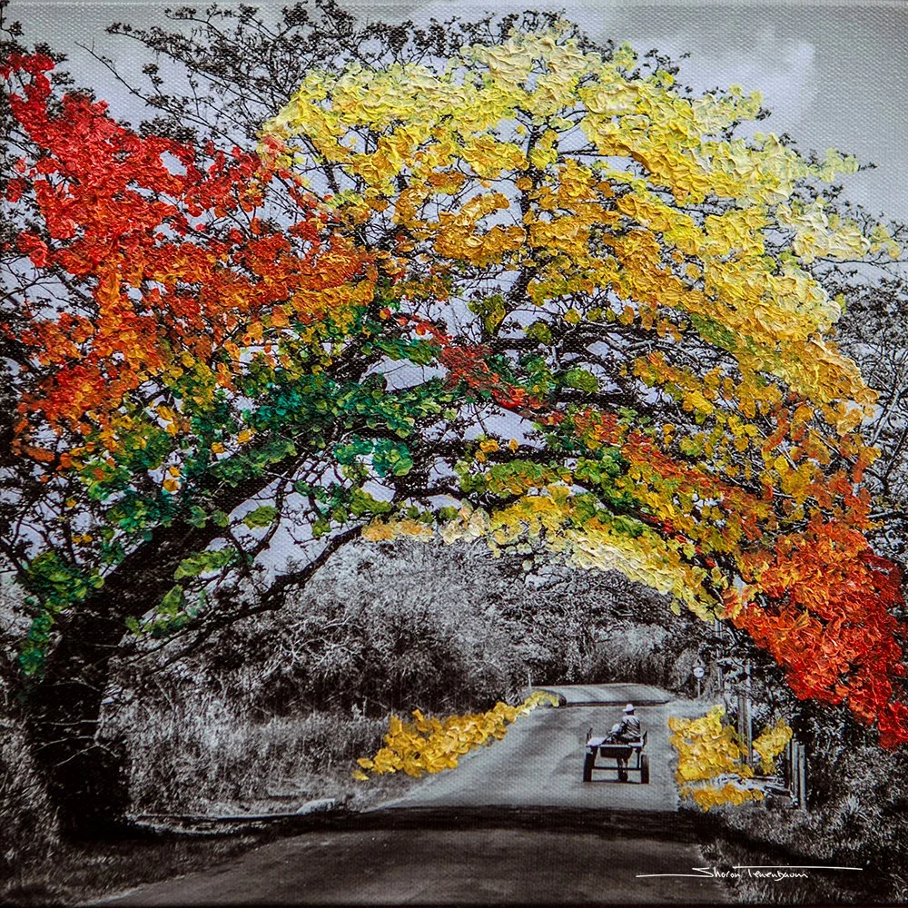 Paintagraphy - Painted Landscapes — Sharon Tenenbaum Photography