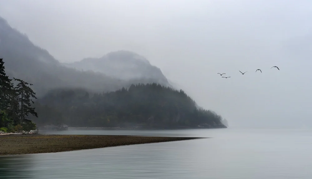STUDENT WORK — Sharon Tenenbaum Photography
