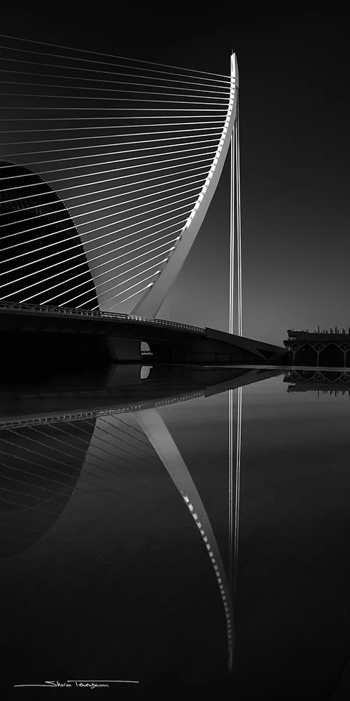 Telling A Visual Story Through Light and Shadow — Sharon Tenenbaum ...