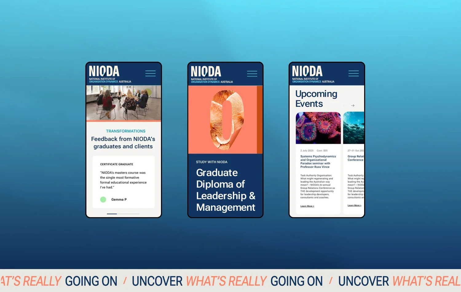 NIODA — The Design Order