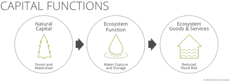 Earth Economics | Natural Capital 101