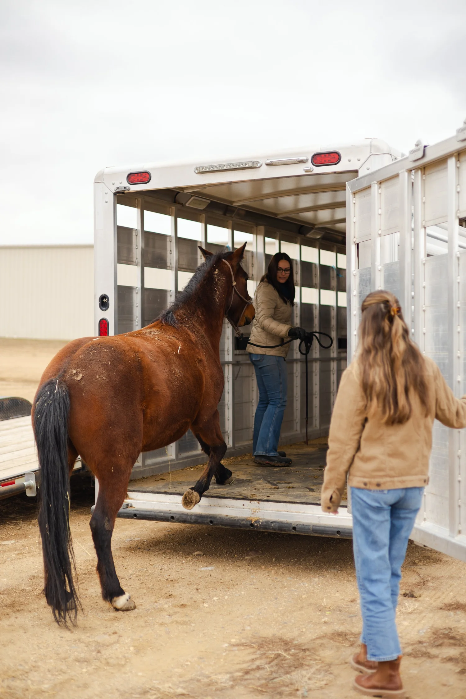 HorseAlert