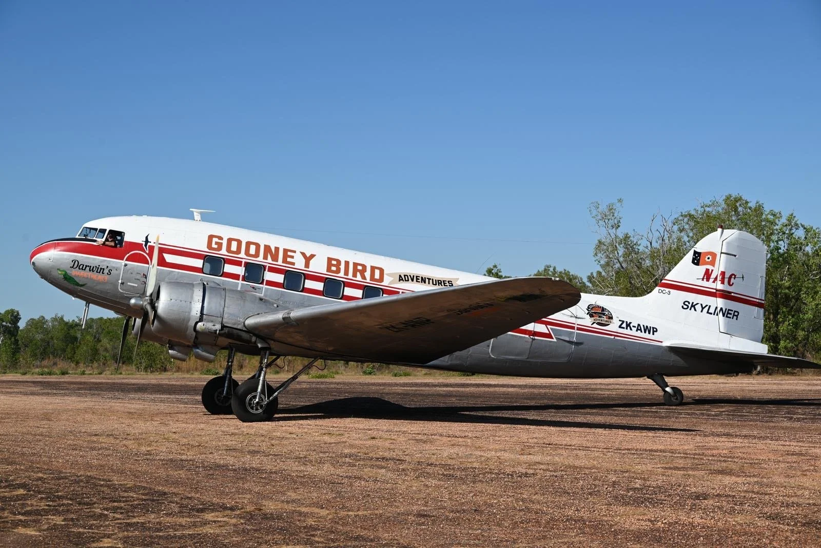 Gooney Bird Adventures