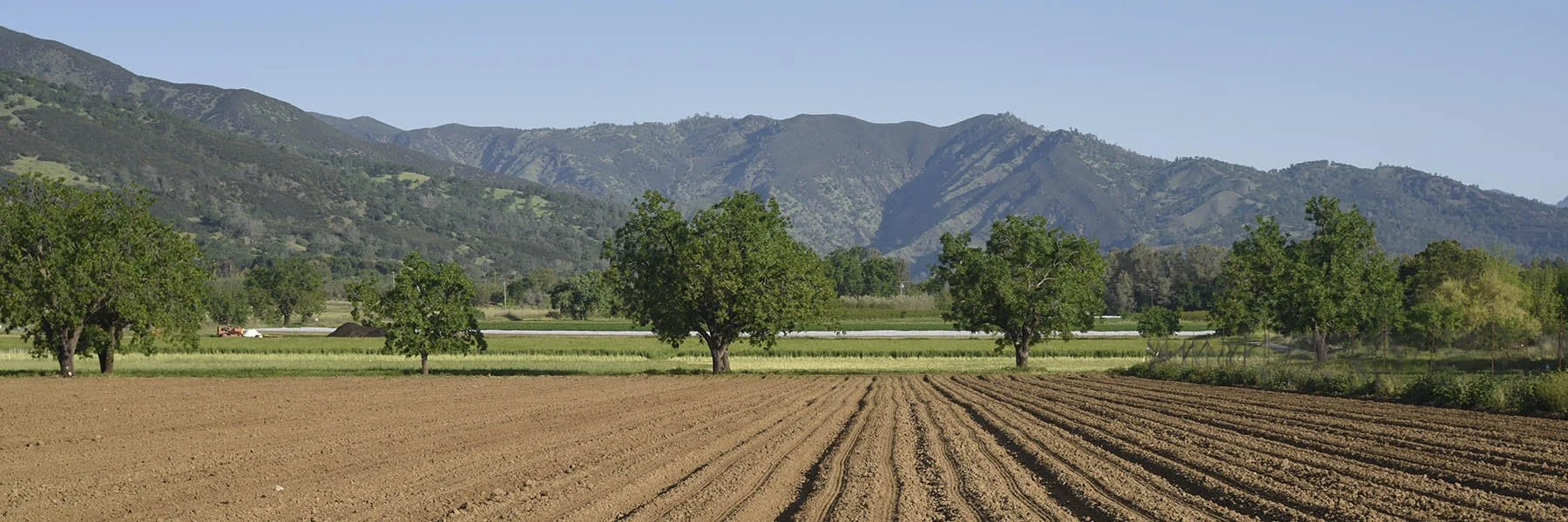 About Us — Capay Valley Farm Shop