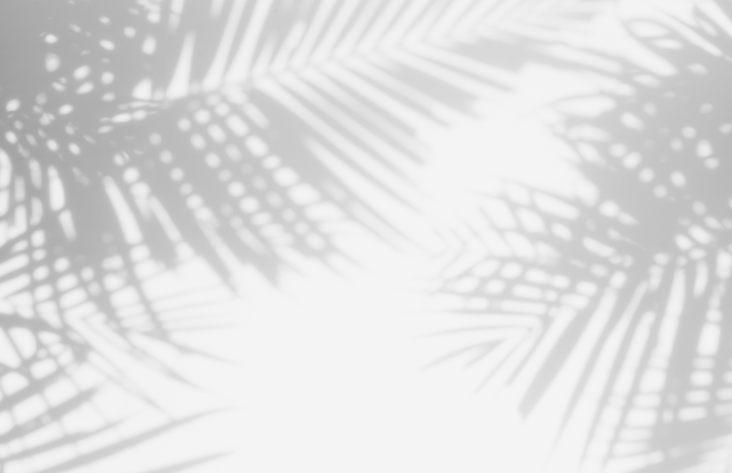 Inside This $28.5M Waterfront Mansion On Jupiter Island — The Jupiter Group