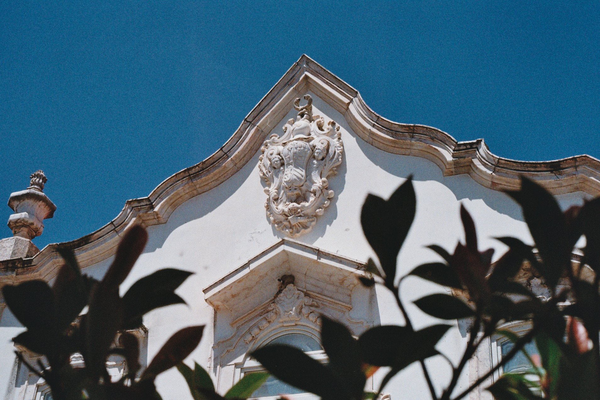 Calipo