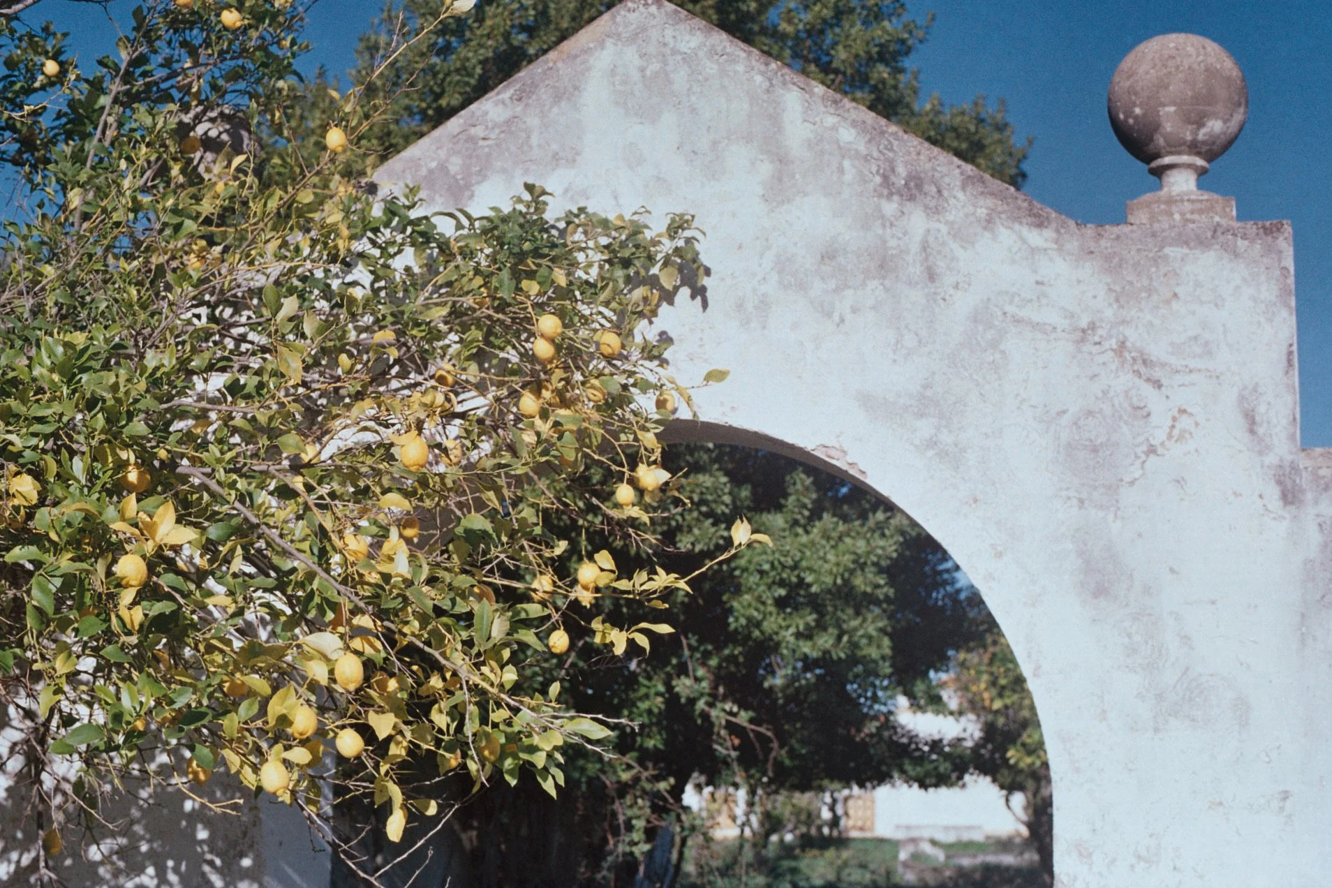 Calipo