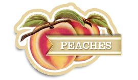 Symms Fruit Ranch