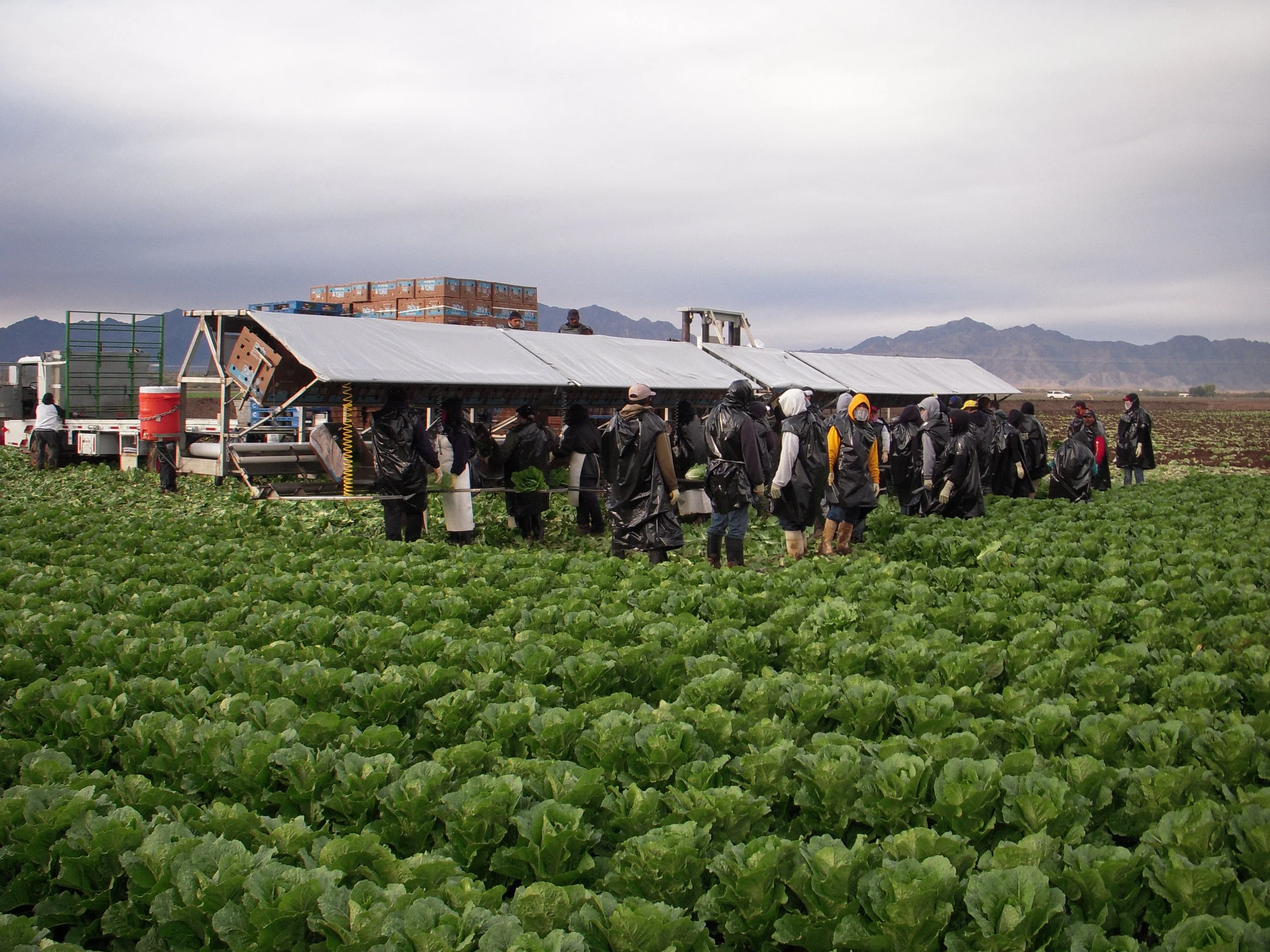 Transfer Machine — Home