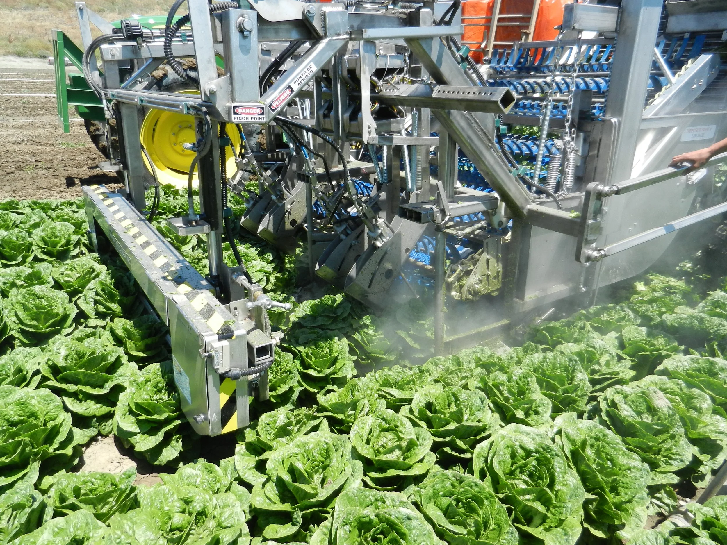 About Ramsay Highlander — Home