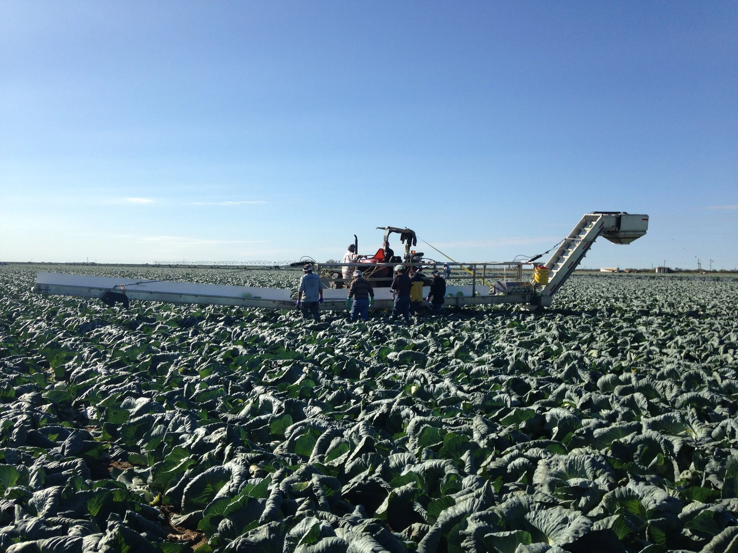 Three Point Bulk Loader — Home