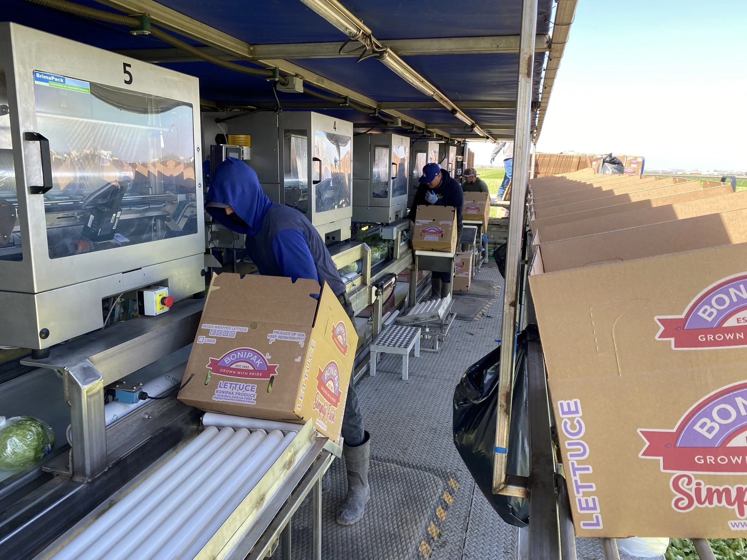 About Ramsay Highlander — Home