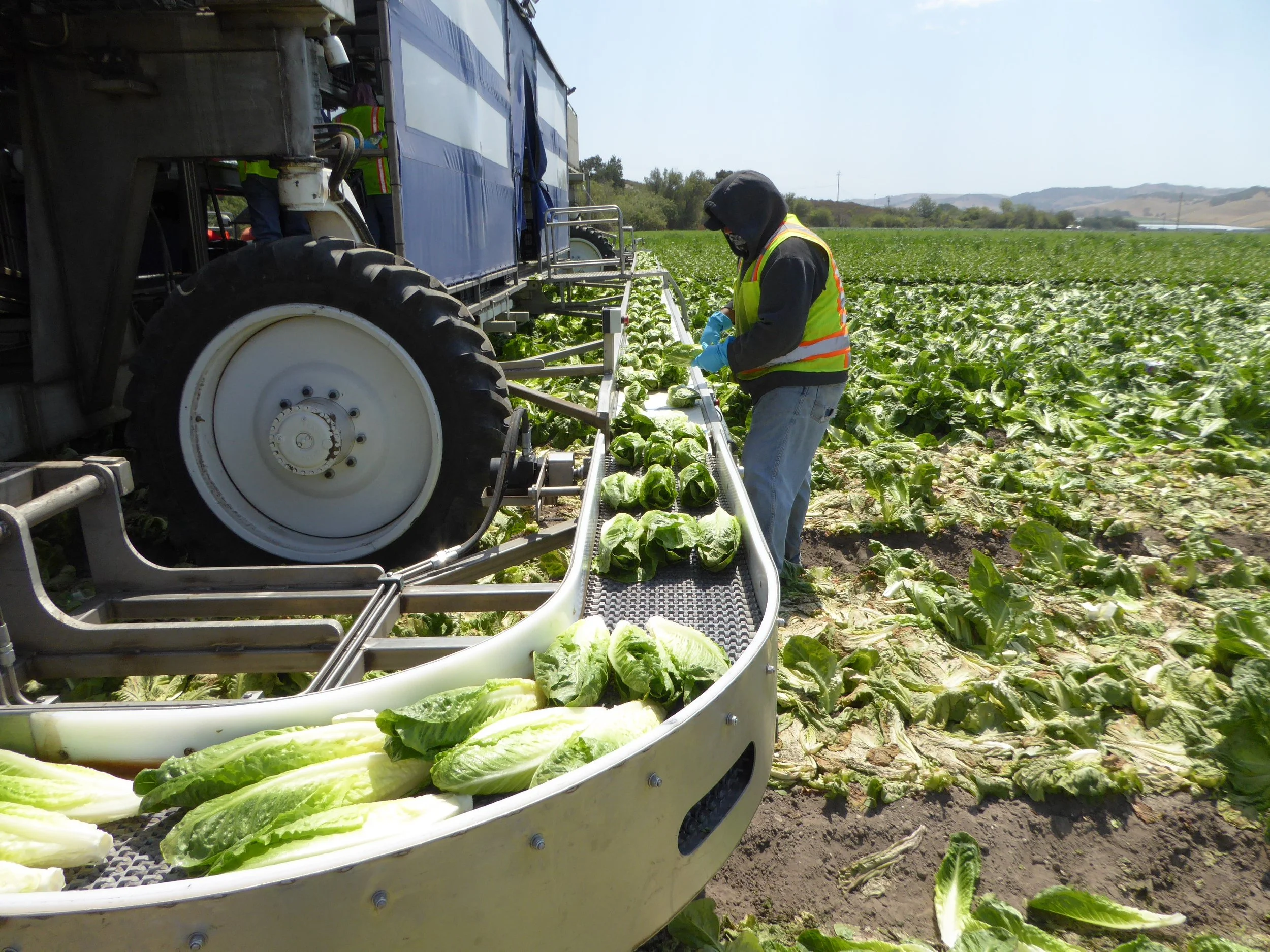 About Ramsay Highlander — Home