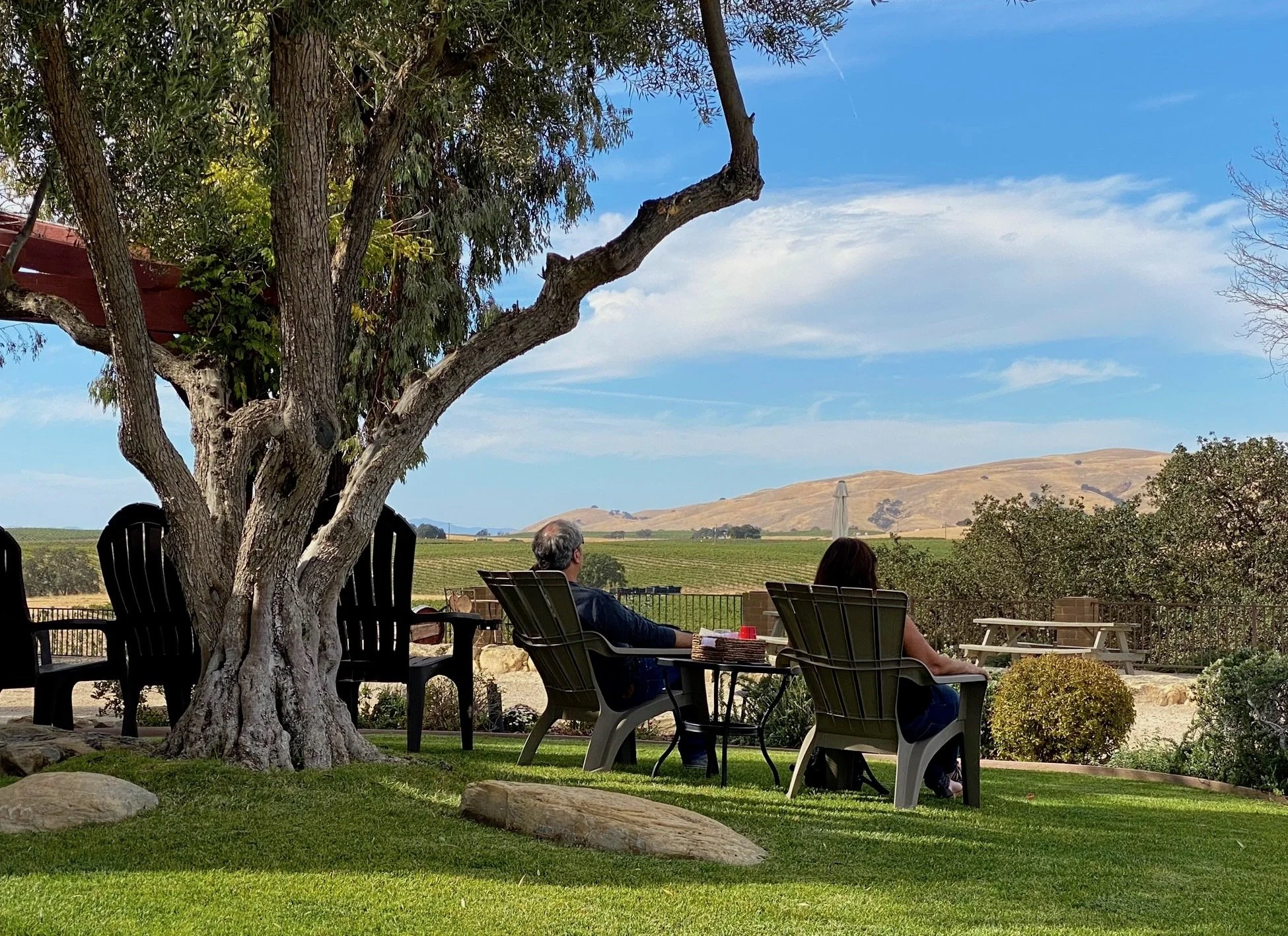 Tasting Room — Four Sisters Ranch Vineyards & Winery