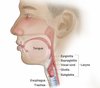 What is a Laryngeal Cleft? — Laryngeal Cleft Network