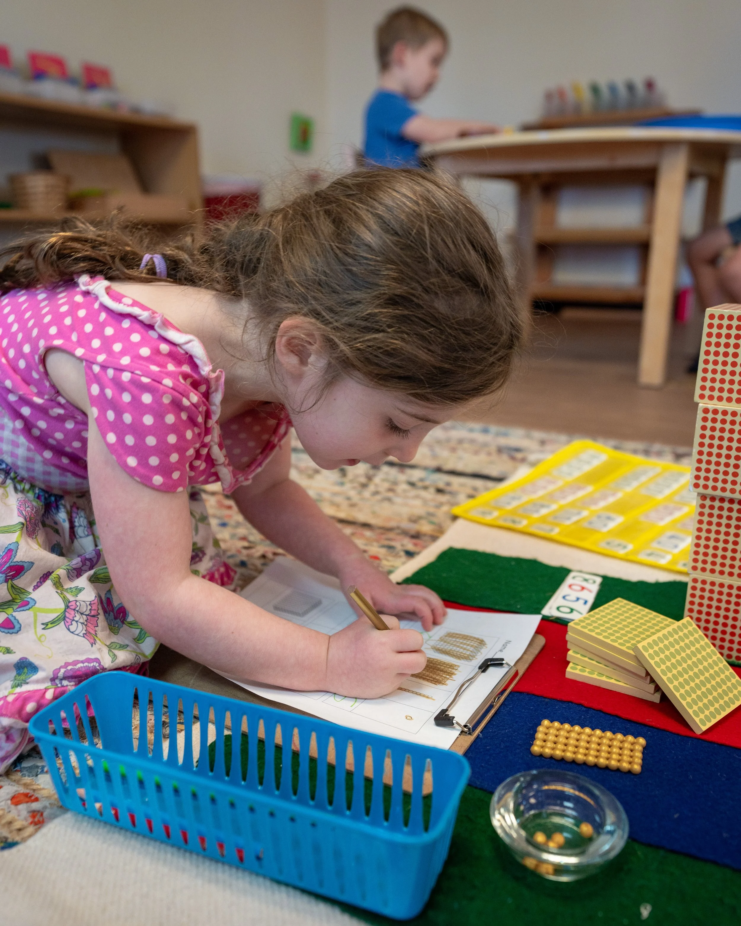 Leadership Year at MSWP — Montessori School of Wild Pines