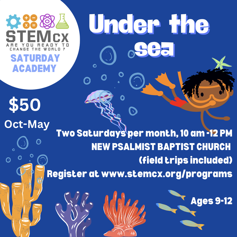Our Programs — STEMcx.org