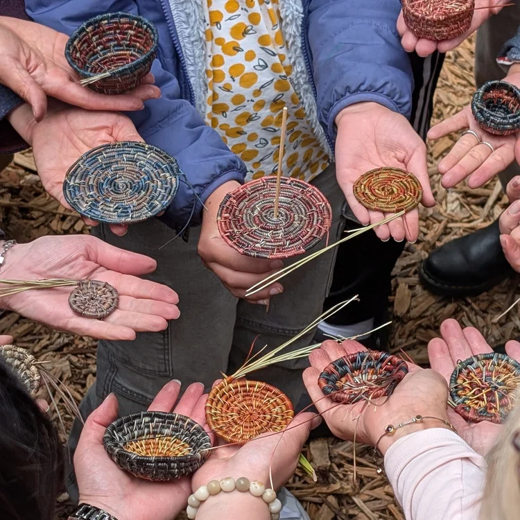 Mushroom Hunting & Foraging Classes Near the Bay Area — Fork In the Path
