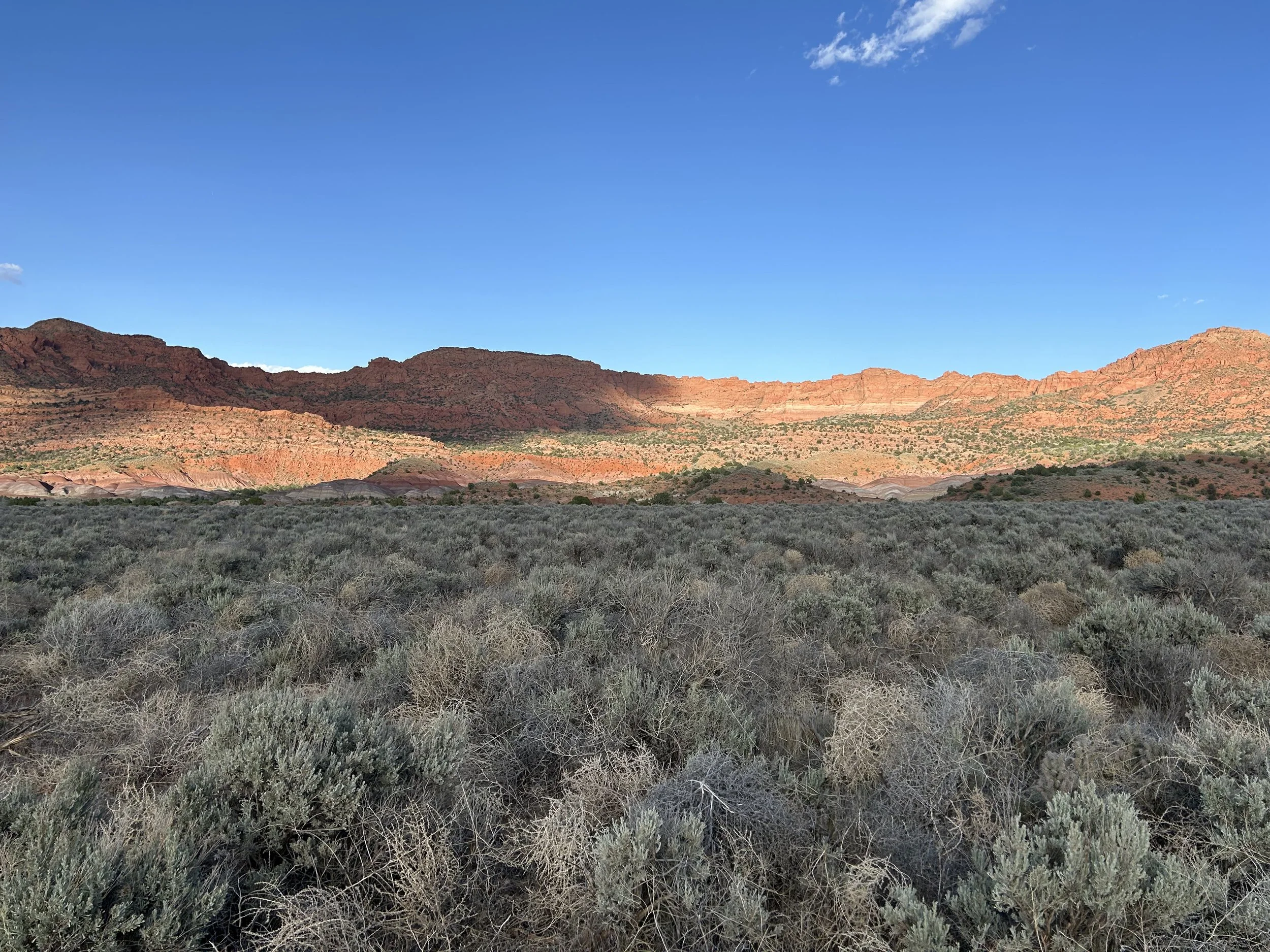 Desert Scrub Biome Grand Canyon