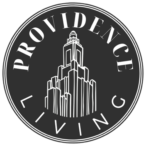 THE PROVIDENCE GROUP