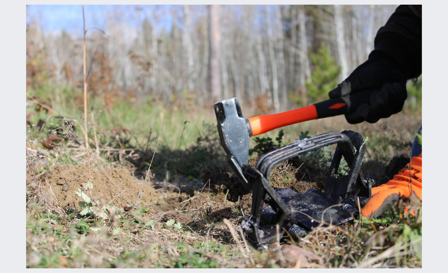 General Trapping Information — TRAPLINE TIPS