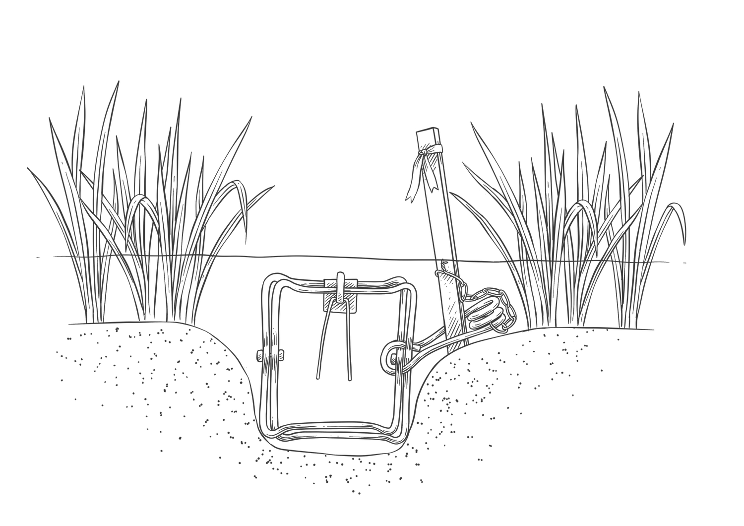 How to Trap Muskrats — TRAPLINE TIPS