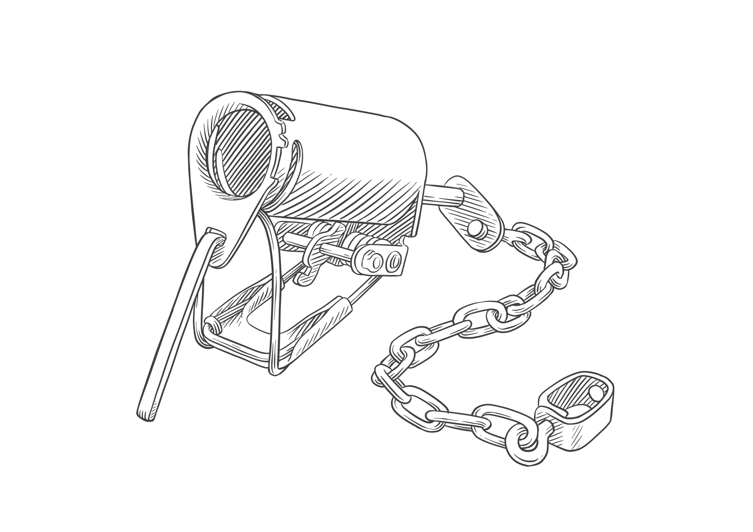 The Basics of Different Trap Types — TRAPLINE TIPS
