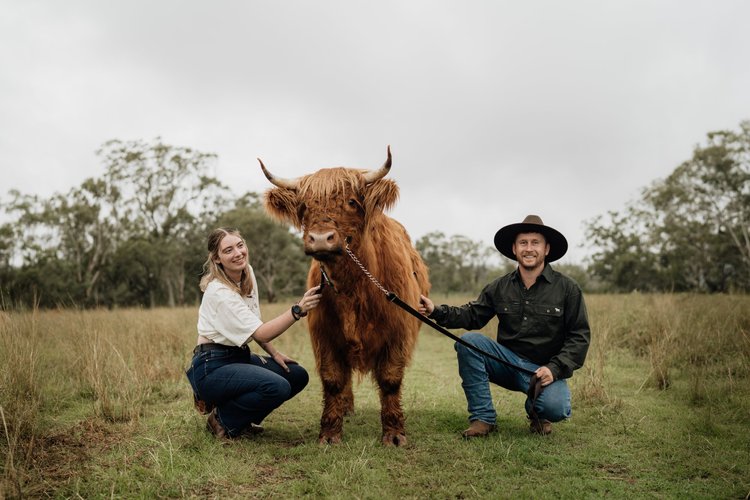 Home | Discover Highland Cattle Tours