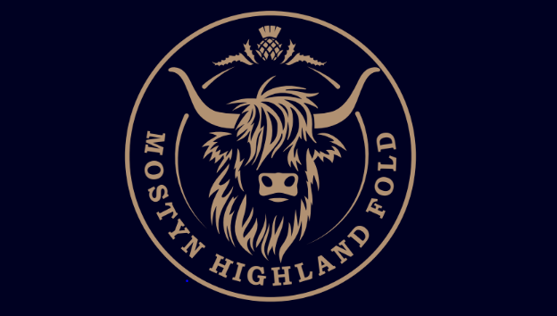 Highland Cow Experiences and Photography - Mostyn Highland Fold ...