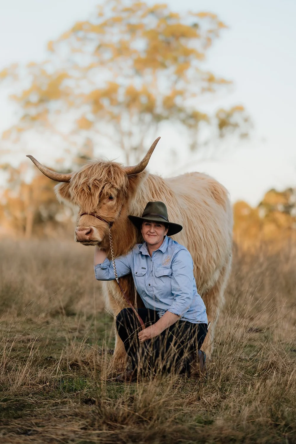 Home | Discover Highland Cattle Tours