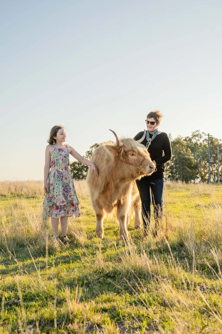 Highland Cow Experience - meet the coos, hand-feed and brush the coos ...